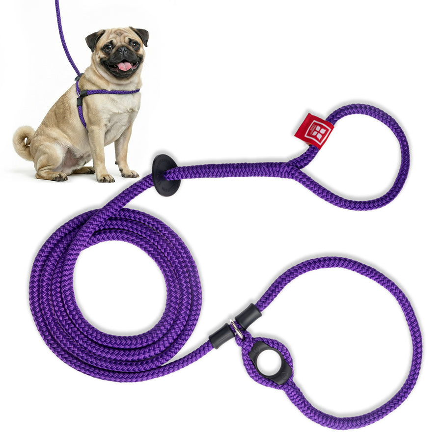 Purple (Daphneyland) Harness Lead